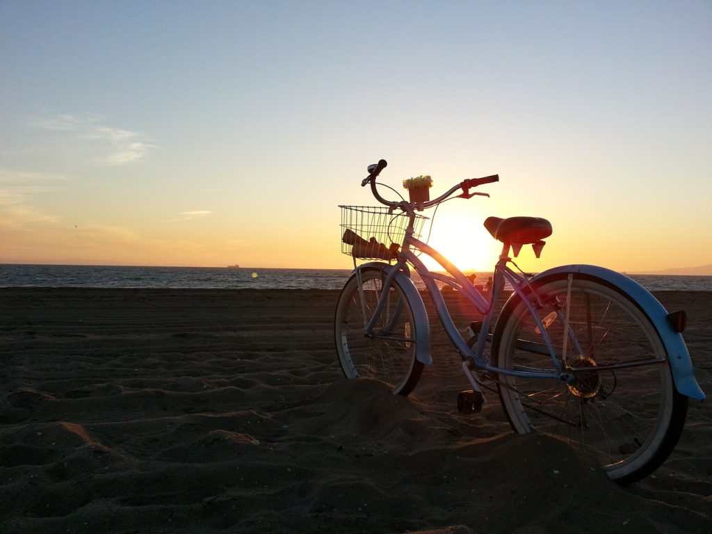 Beach Cruisers For Beginners: What You Need To Know - Pinoria