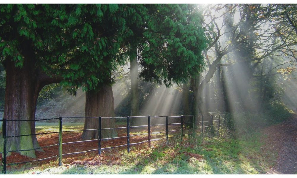 What is an Awe Walk and How it Will Benefit You? - Pinoria