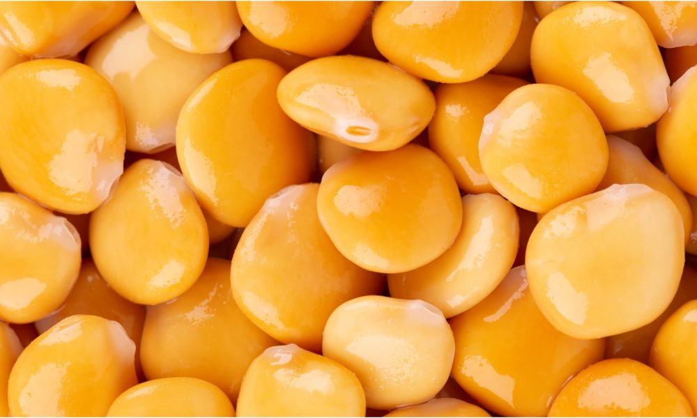 The Many Health Benefits Of Lupin Beans - Pinoria